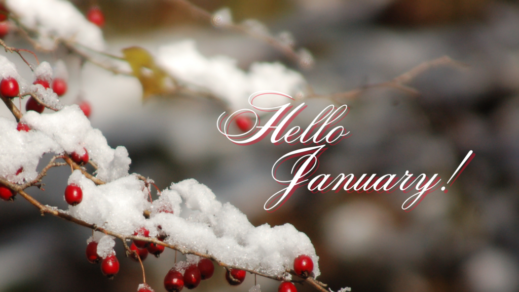 Friday 2 January 2025: Hello January! – Words Worth Writing