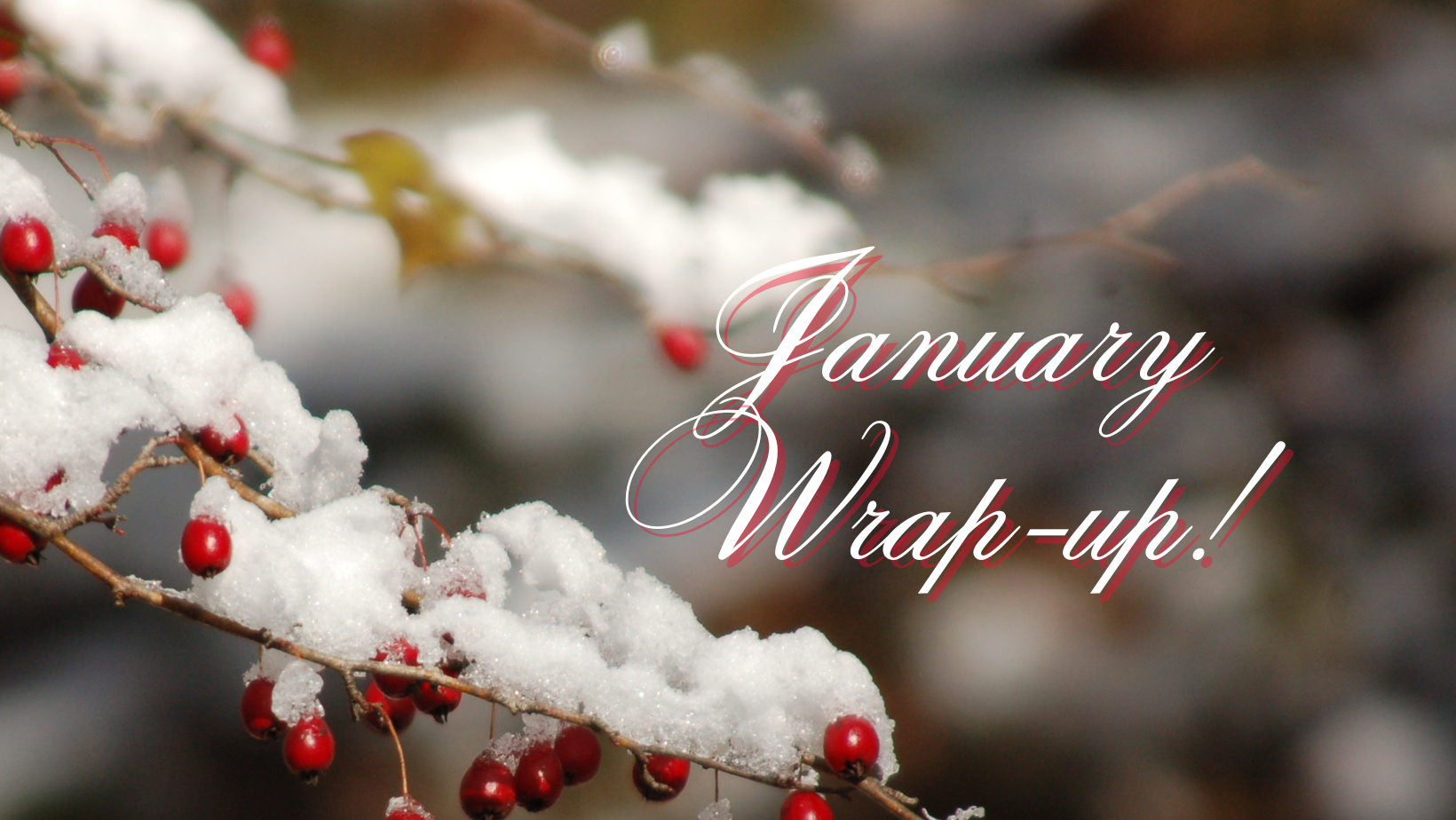 Friday 31 January 2025: January wrap-up! – Words Worth Writing
